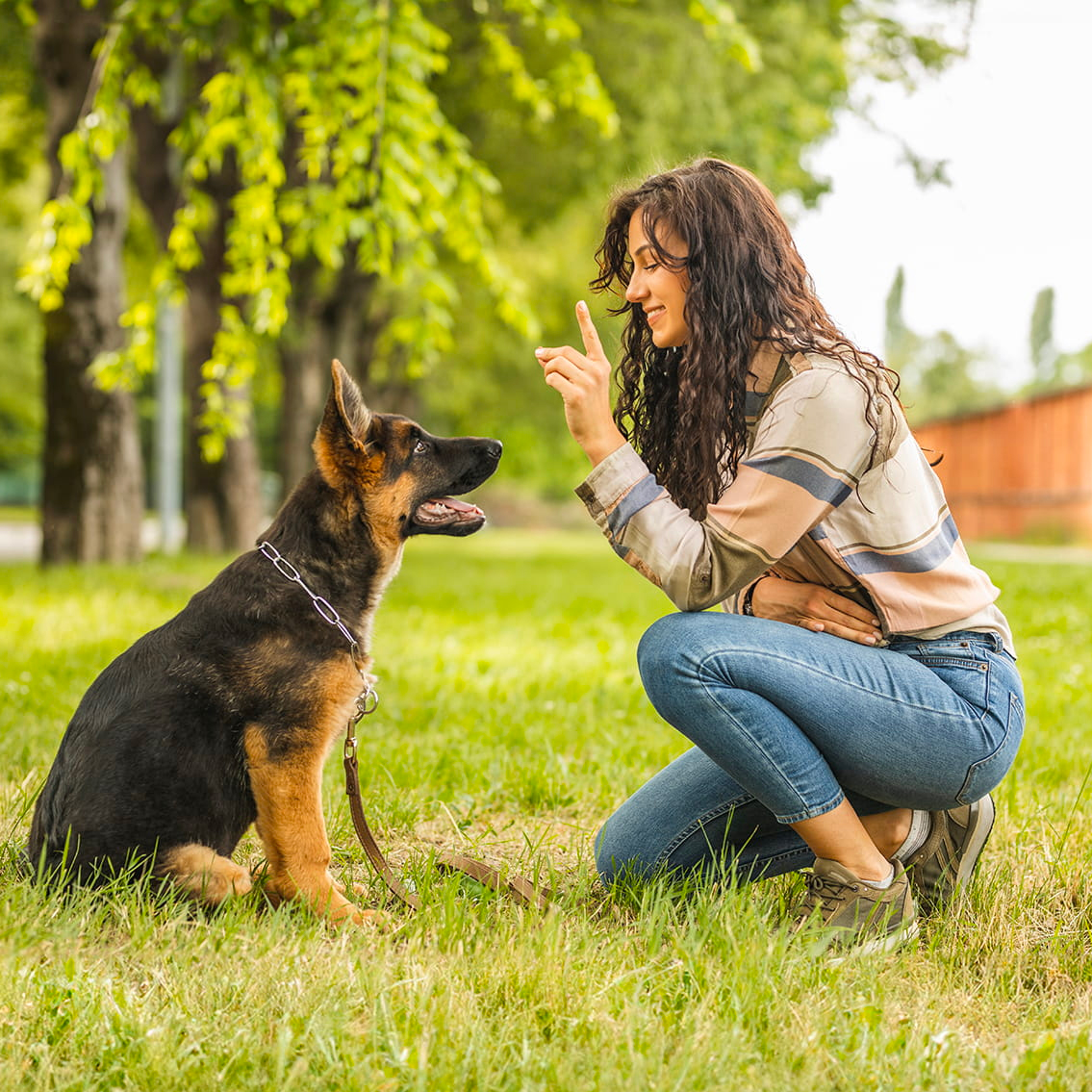Ruby The Jewel – German Shepherd Man